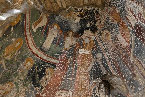 List Of Trees That Start With K Flora Fauna Fun List Of Trees That Start With K Flora Fauna Fun