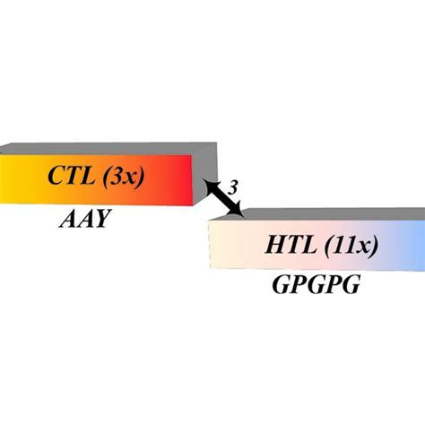 Schematic Representation Of The Multi Epitope Designed Vaccine Download Scientific Diagram