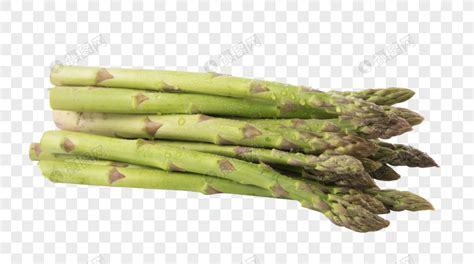 아스파라거스 채소 Png 일러스트 무료 다운로드 Lovepik