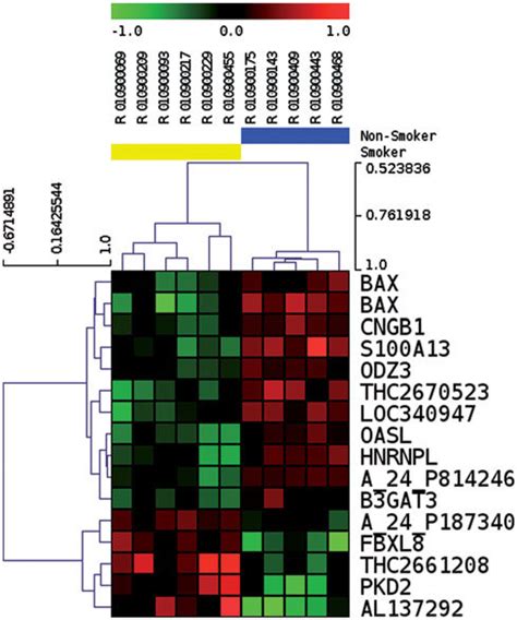 Unsupervised Hierarchical Clustering Of 15 Differentially Represented