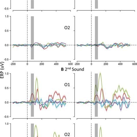 Modulation Of The Occipital Erp Response Due To S2 Physical Position Download Scientific