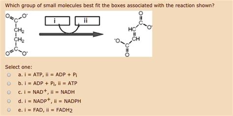 Solved Which Group Of Small Molecules Best Fit The Boxes Associated With The Reaction Shown