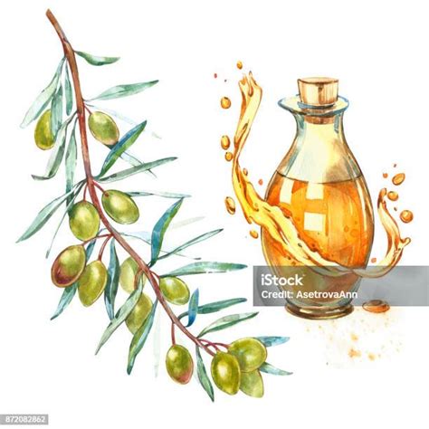 익은 녹색 올리브의 분기는 달콤한 기름 부 어 방울 그리고 올리브 기름 많아요입니다 수채화 물감 그리고 식물 그림을 흰색 배경에 고립입니다 0명에 대한 스톡 벡터 아트 및