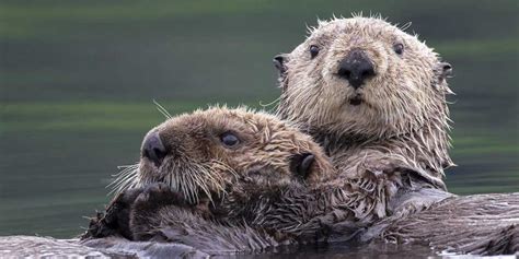 Cherry Anderson On Linkedin Answers To The Questions Of Life