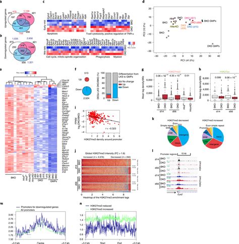 H3 3 Null Hspcs Demonstrated A Gmp Like Transcriptomic Signature And A Download Scientific