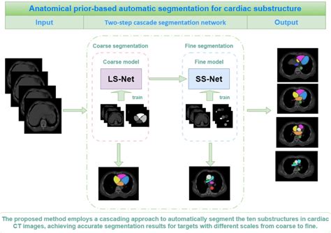 Bioengineering Free Full Text Anatomical Prior Based Automatic