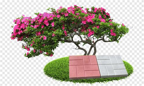 Shrub Tree Topiary Tree Fashion Grass Png PNGEgg