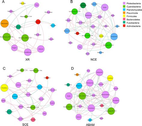 Co Occurrence Network Analysis At Genus Level On Xr A Nce B Sce Download Scientific