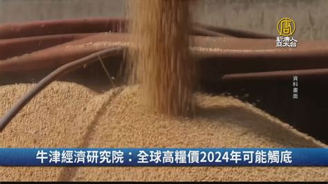 牛津經濟研究院：全球高糧價2024年可能觸底 ｜財經100秒 新唐人亞太電視台
