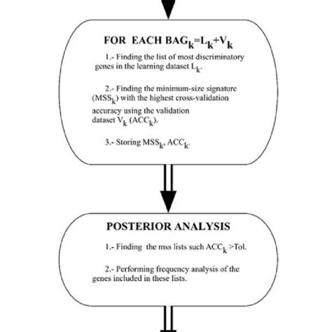 Flow Chart Of The Machine Learning Methodology Download Scientific Diagram