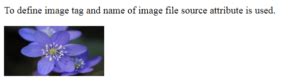 HTML Attributes Tutorial With Examples TutorialBrain