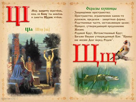 Славянская Буквица 49 Букв С Расшифровкой Лучшая Фото Подборка