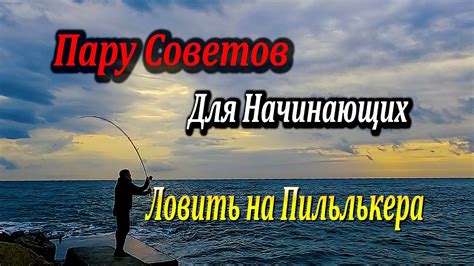 🔴Несколько Секретов, Для Начинающих. Как Сохранить Пилькера. Моя ...