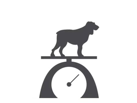 Think Machine Learning With Scikit Learn Python Ppt