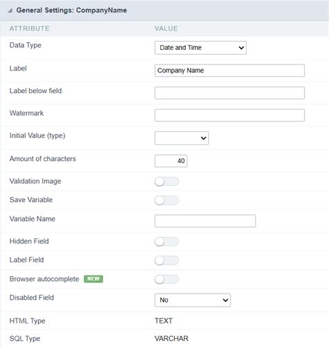 Control Date And Time Field Scriptcase Low Code Documentation