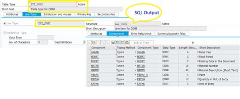 Amdp Abap Consume Hana Sql View Directly Par Sap Community