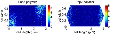 One Stochastic Simulation Of Corner Preference For The Rectangular Download Scientific Diagram