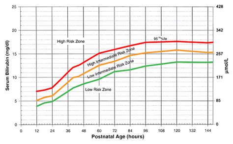 Jaundice Newborn Bilirubin Levels
