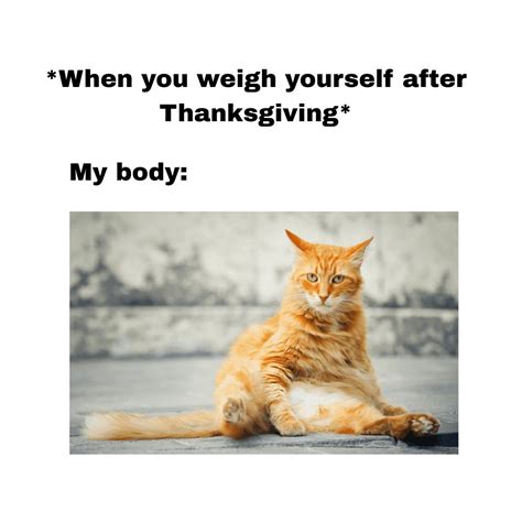 Thanksgiving Cat Memes