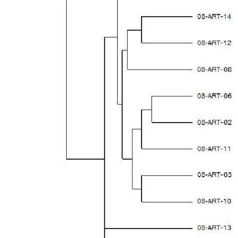 Unweighted Pair Group Method With Arithmetic Average Dendrogram Of 14