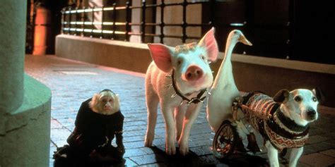 All 11 George Miller Movies Ranked