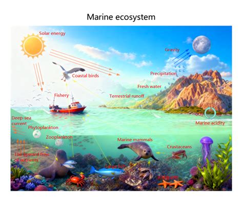 Ecosystem Templates Edrawmax Free Editable Ecosystem Templates Edrawmax Free Editable