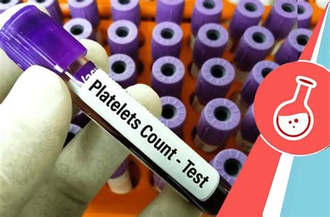 Book Plt Blood Test Online 50 Off On Platelet Count Test Price