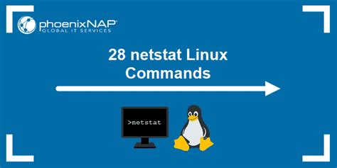28 Netstat Commands A Comprehensive List With Examples Artofit