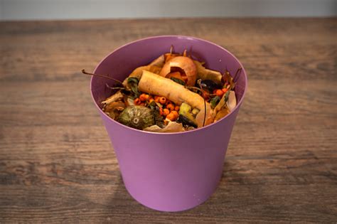 퇴비용 바이오 폐기물용 용기 생태 학적 문제 가비지 쓰레기통에 던져진 생물학적 유기적인 남은 음식 폐기물 분리 현대 가정에서