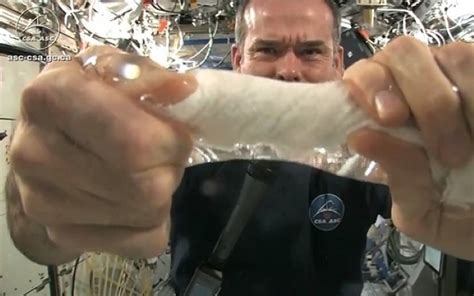 Is It Possible To Have Sex In Space And Other Questions You Might Want To Know Answers Of