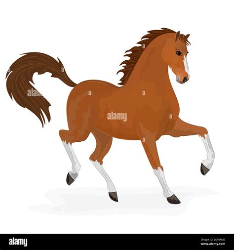 Horse Running Vector Illustration Stock Vector Image And Art Alamy