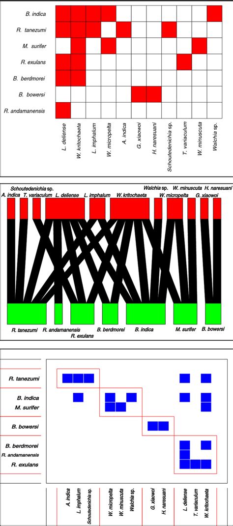 Non Quantitative Nestedness Matrix Bipartitie Network And