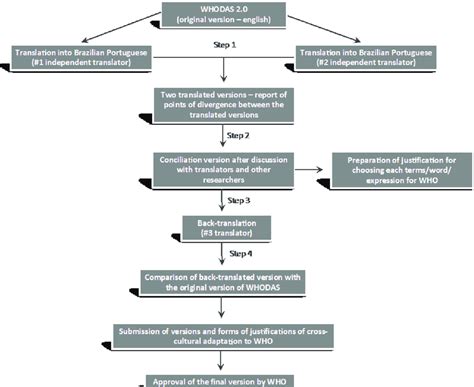 Steps Of The Translation And Cross Cultural Adaptation Process Of