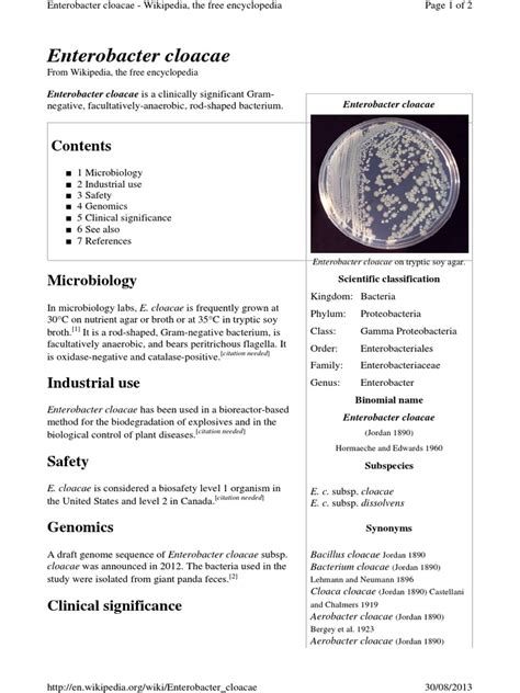 Wiki Enterobacter Cloacae Pdf Bacteria Microbiology