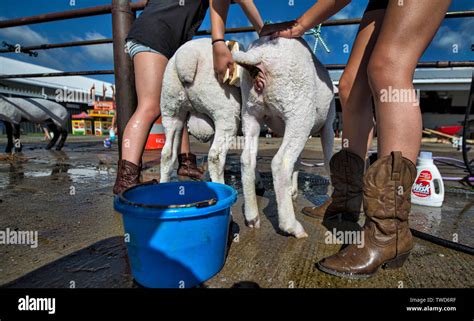 United States July 24 2017 Lilly Eubanks And Grace Mackenzie Of