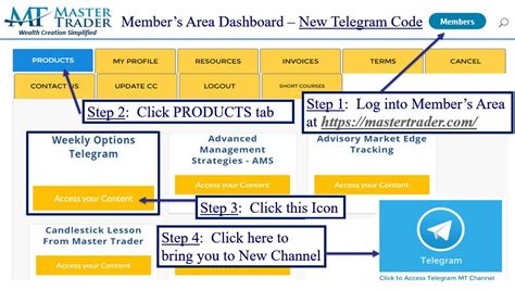 New Telegram Code For Weekly Options Trader Master Trader