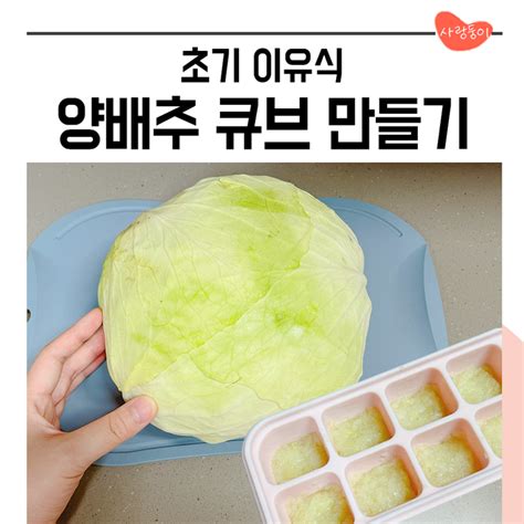 초기이유식 양배추큐브 만드는 방법 레시피 입자크기 네이버 블로그