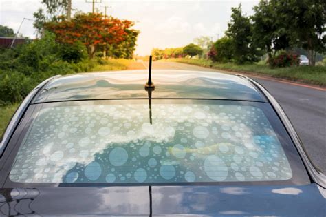 How To Remove Air Bubbles From Your Window Tinting Film COLORADO WINDOW TINTING