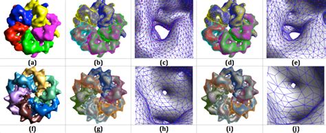 Figure 5 From From Voxel Maps To Models Quantitative Analysis And Visualization Of