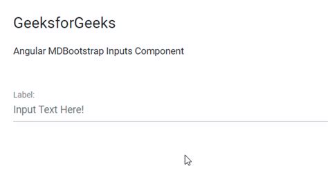Angular Mdbootstrap Forms Input Component Geeksforgeeks