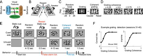 Behavioral Task To Measure Attention In Mice A Schematic Shows How Download Scientific