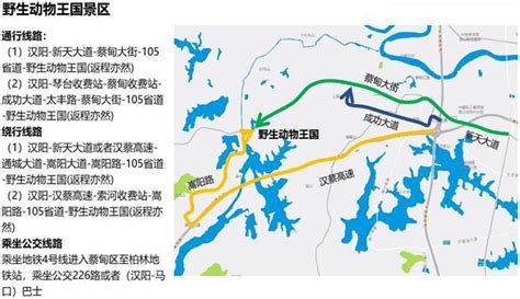 武汉限行时间规定2021年3月最新 旅泊网