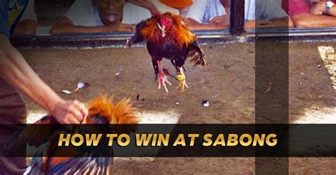 What Is Online Sabong Sabong Guide And Tips