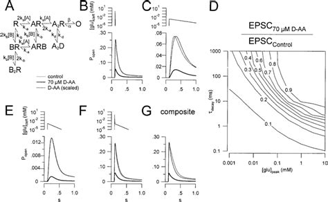 Simulating The Effect Of D Aa On Nmdar Epscs A A Kinetic Model Of The Download Scientific