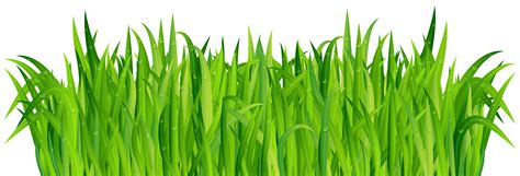 Free Clipart Grass 10 Free Cliparts Download Images On Clipground 2026