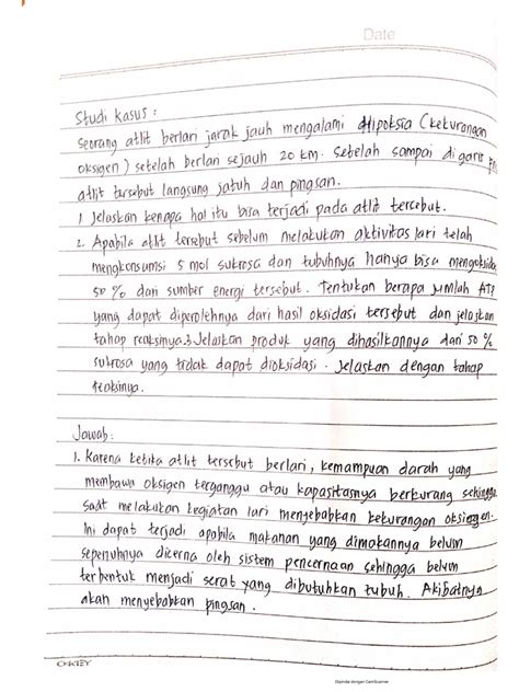 Rasmi Anggraini Eka Putri Studi Kasus Pdf