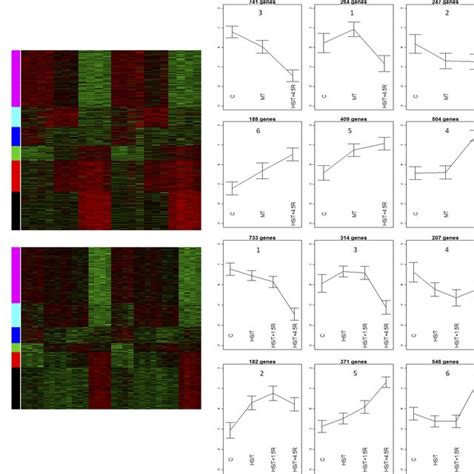 K Means Clustering Yields 6 Clusters Each With A Unique Pattern Of