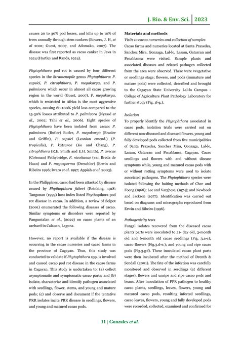 Symptomatology And Pathogenicity Of Phytophthora Pod Rot Disease Associated With Cacao Plants In