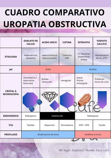 Urologia Urolitiasis Dra Baltodano Udocz