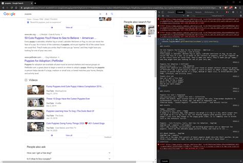 Why Does Some Javascript Not Seem To Work Inside In Chrome Devtools